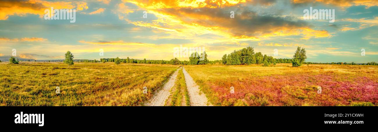 Heath heathland landscape hi-res stock photography and images - Alamy