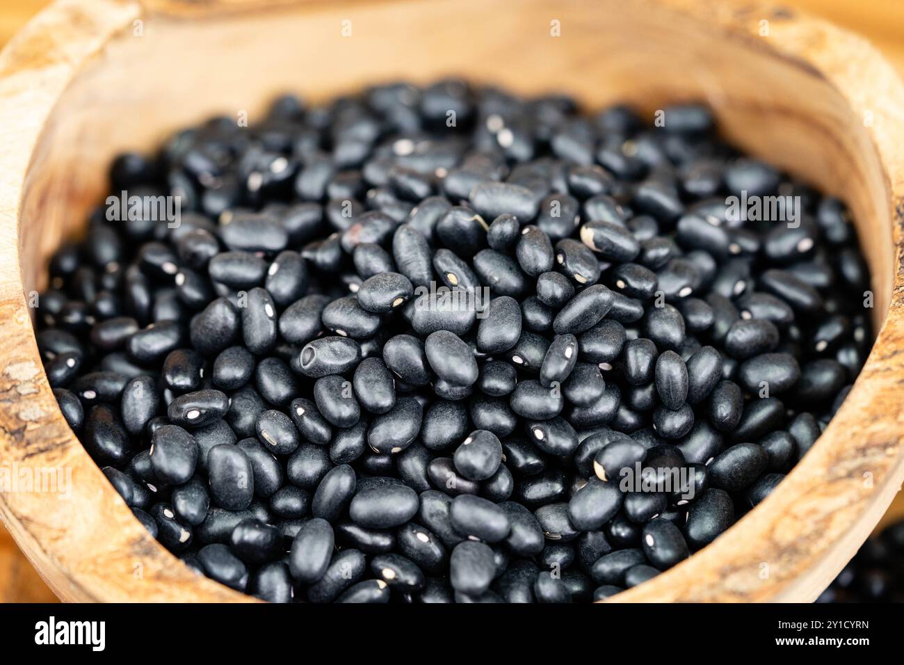 The black turtle bean is a small, shiny variety of the common bean ...