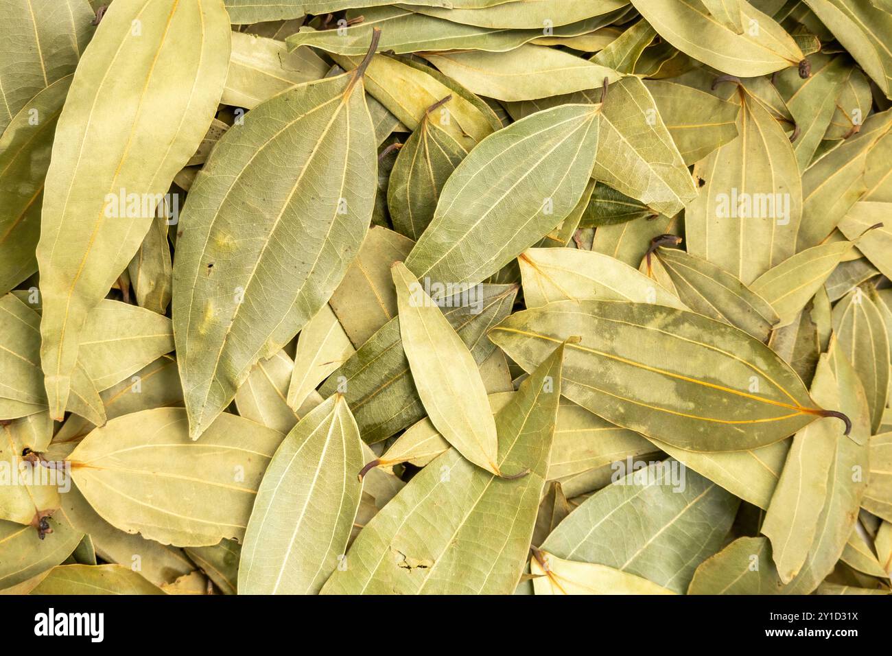 Dried bay leaves texture background. Bay leaf is a good source of ...
