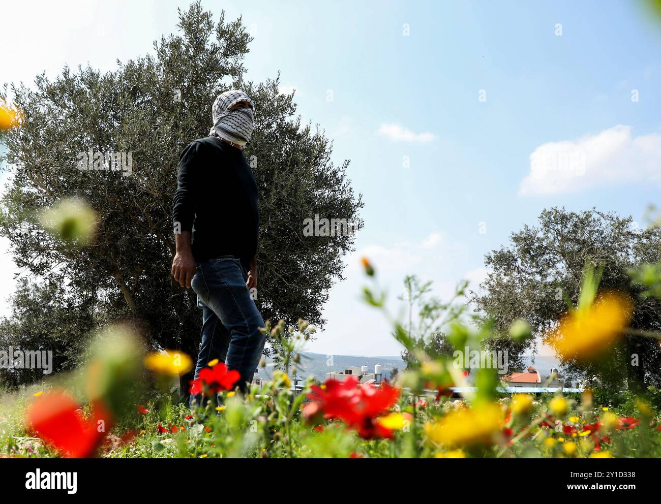 Kafer of qaddum hi-res stock photography and images - Alamy