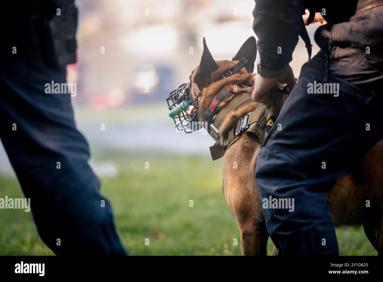 Police dog handler hi-res stock photography and images - Alamy