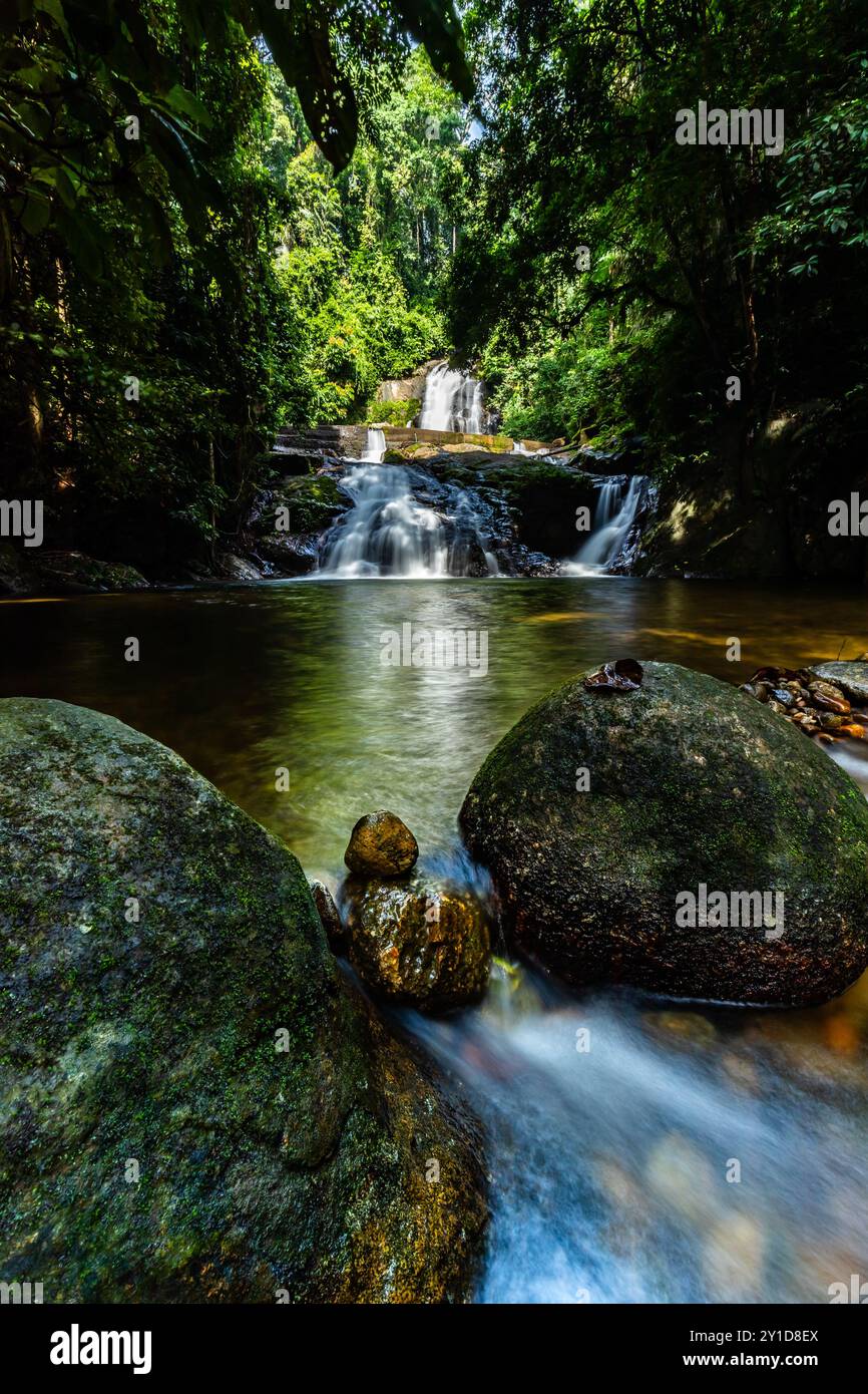 Perak biodiversity state of Malyaysia Stock Photo - Alamy
