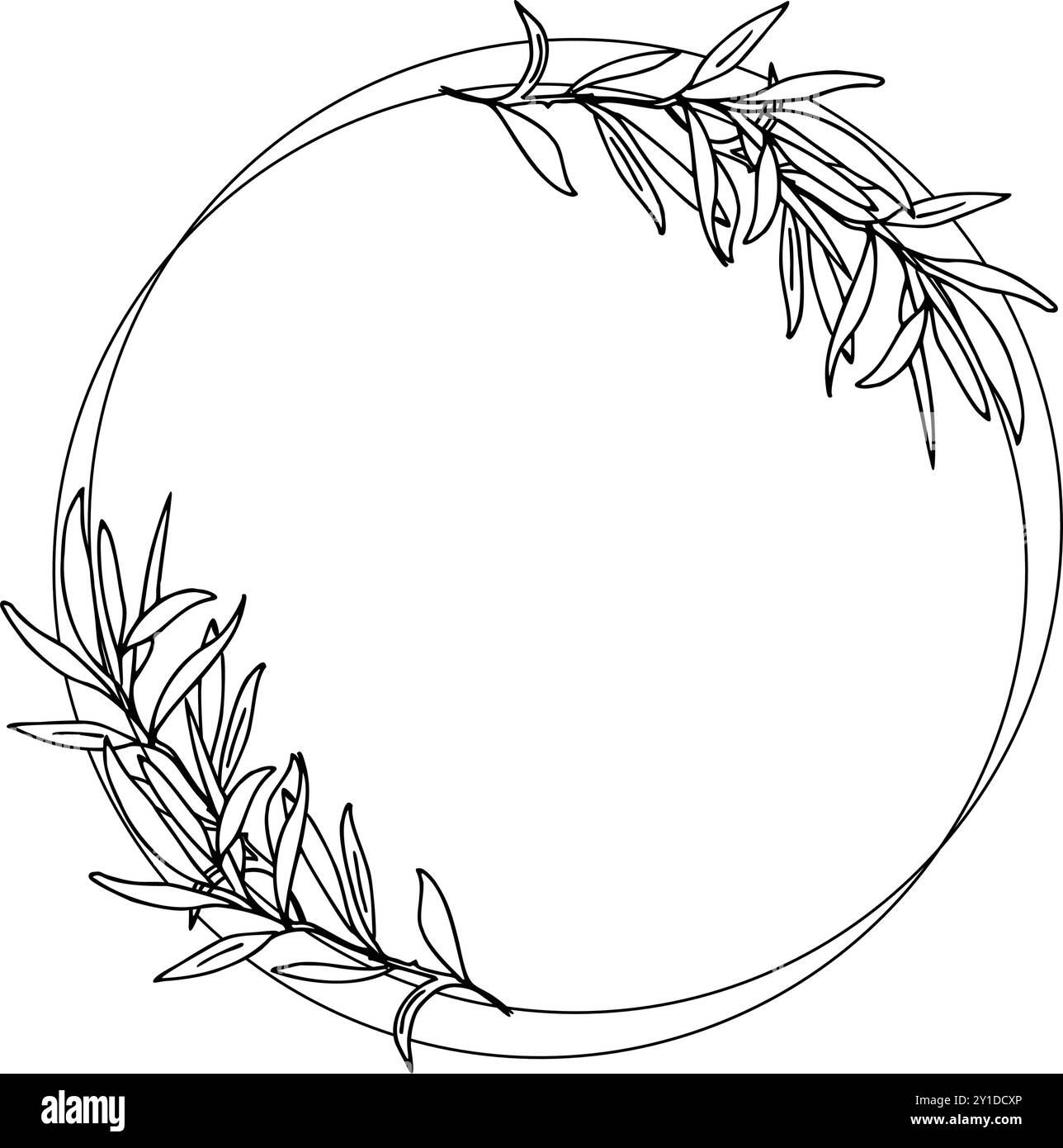 Olive Circle Frame, Wreath with Olive Branch isolated on white ...