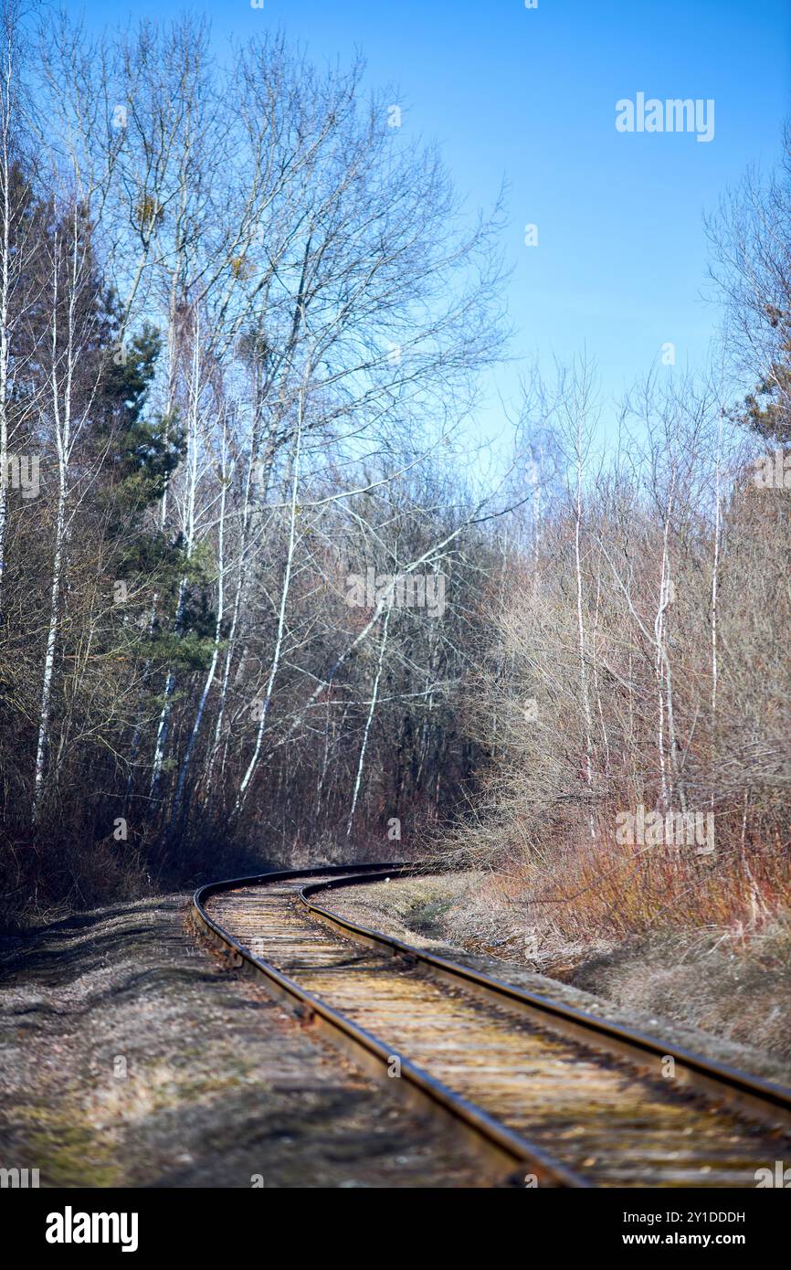 Railway track selective focus in the spring forest with blue sky with ...