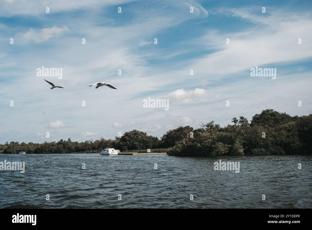 Summertime in the Norfolk Broads Stock Photo - Alamy