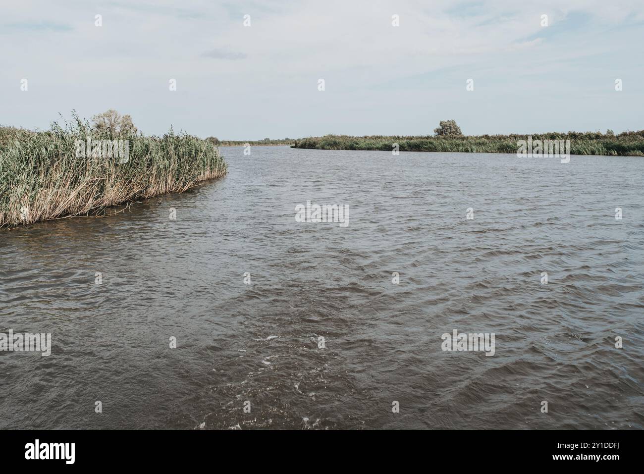 Summertime in the Norfolk Broads Stock Photo - Alamy