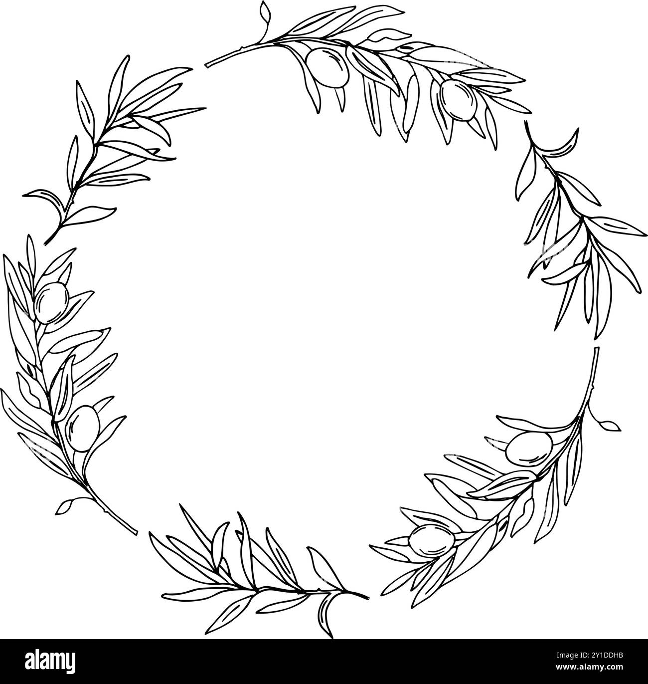 Olive Wreath with olives. Hand drawn ink Vector isolated botanical ...