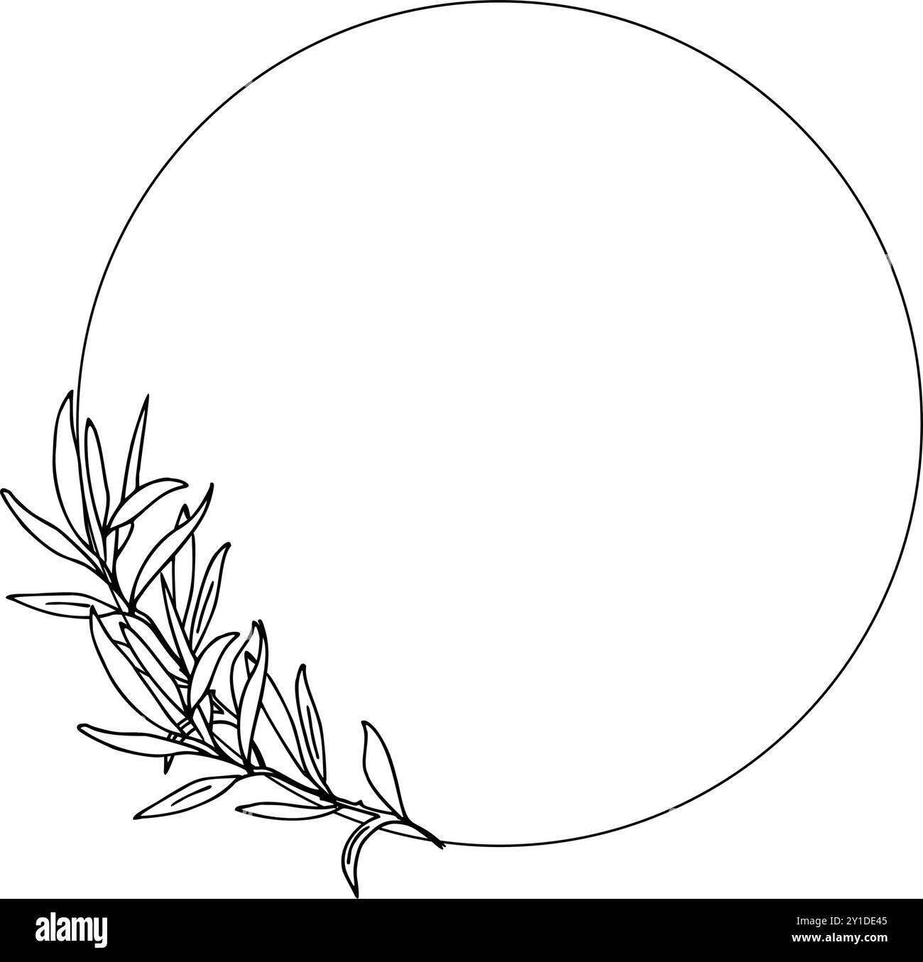 Olive Circle Frame, Wreath with Olive Branch isolated on white ...