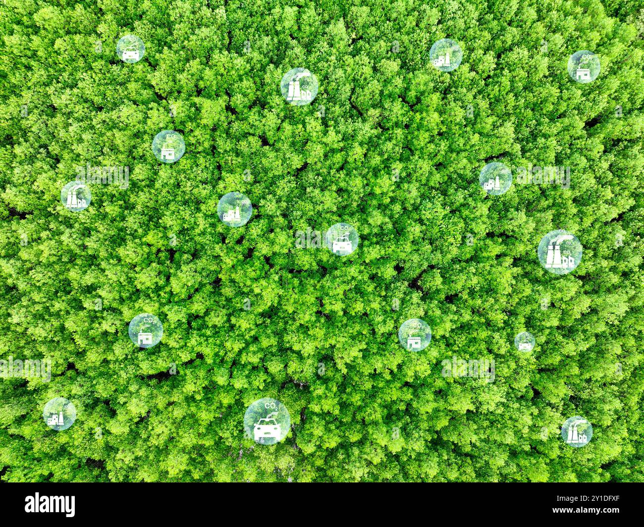 Carbon neutrality concept. Green tree capture of carbon emissions from ...