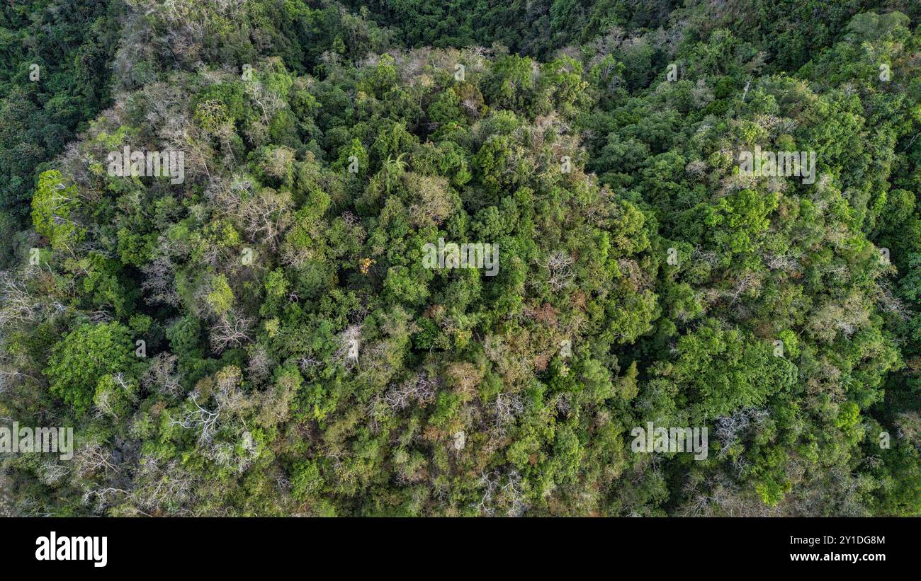 Leang Leang geopark in Maros, Sulawesi, Indonesia, Asia Stock Photo - Alamy