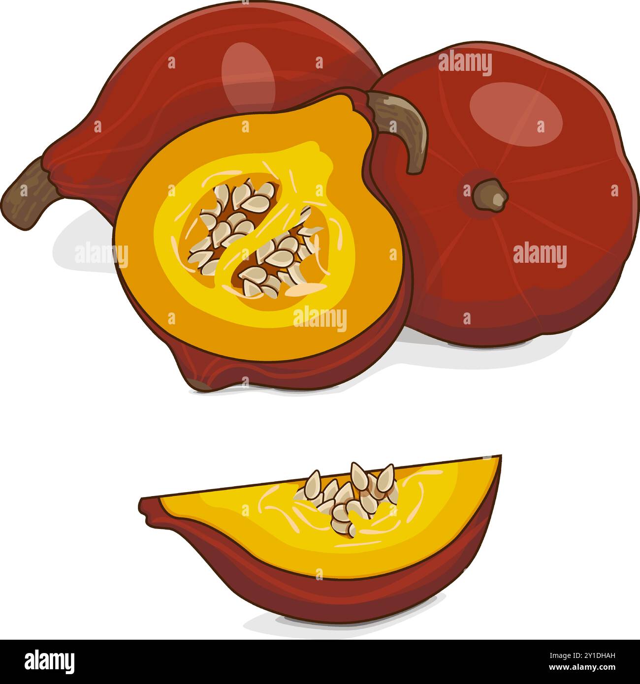 Whole and chopped Red Kuri squash. Climbing Onion squash, Potimarron ...