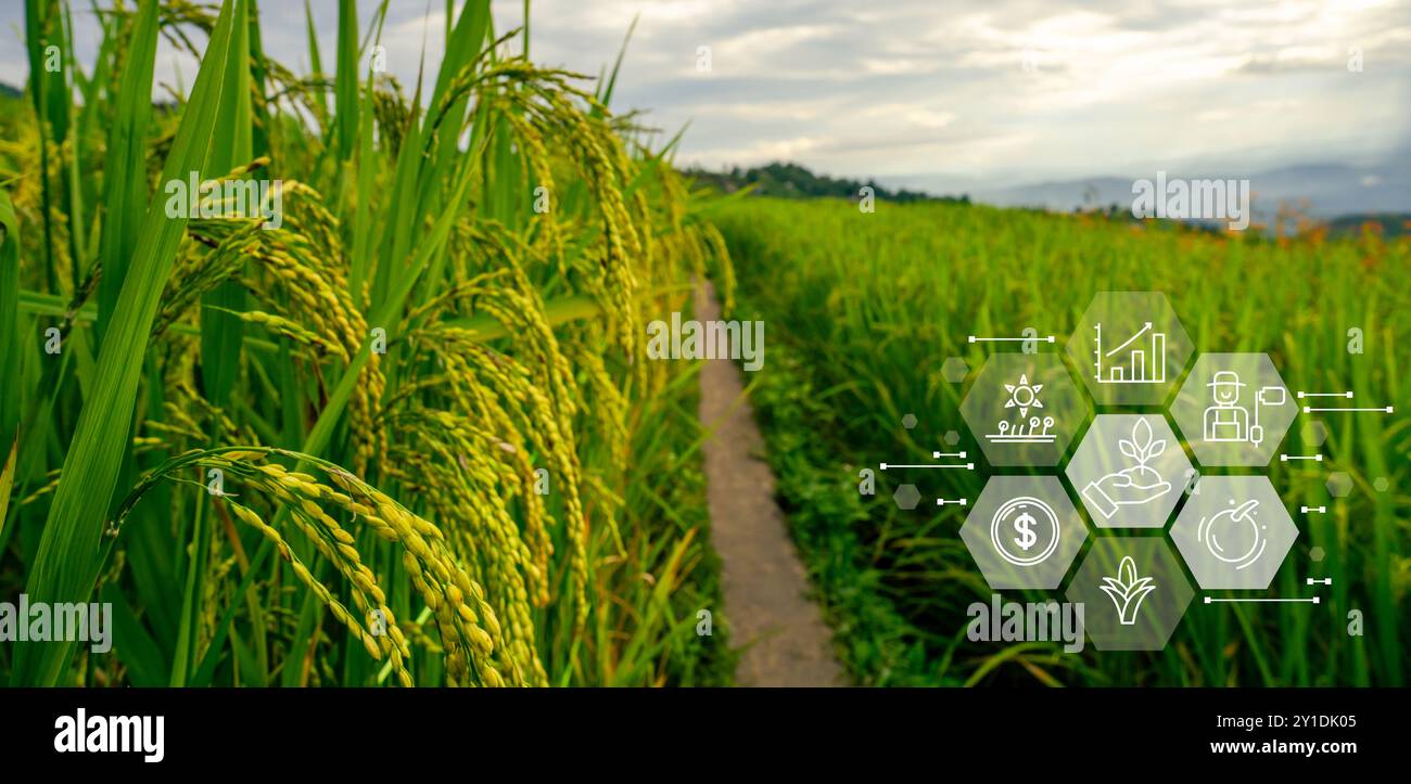 Agricultural technology smart sensors hi-res stock photography and images - Alamy