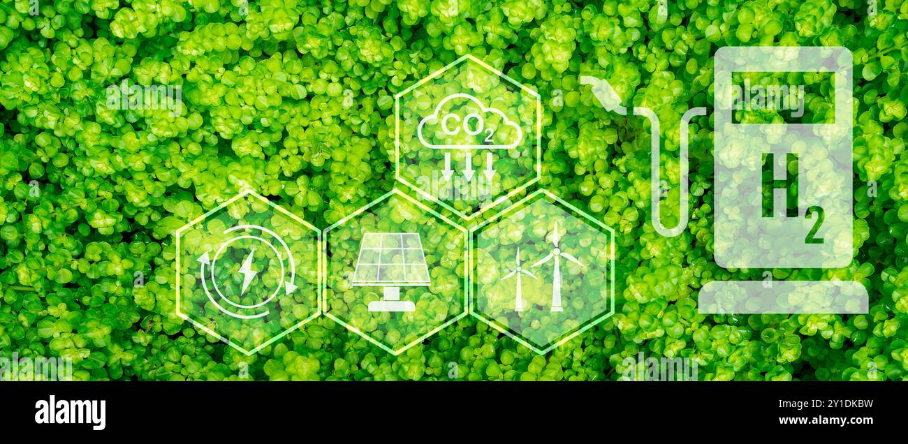 Green hydrogen energy generation using sustainable renewable resources ...