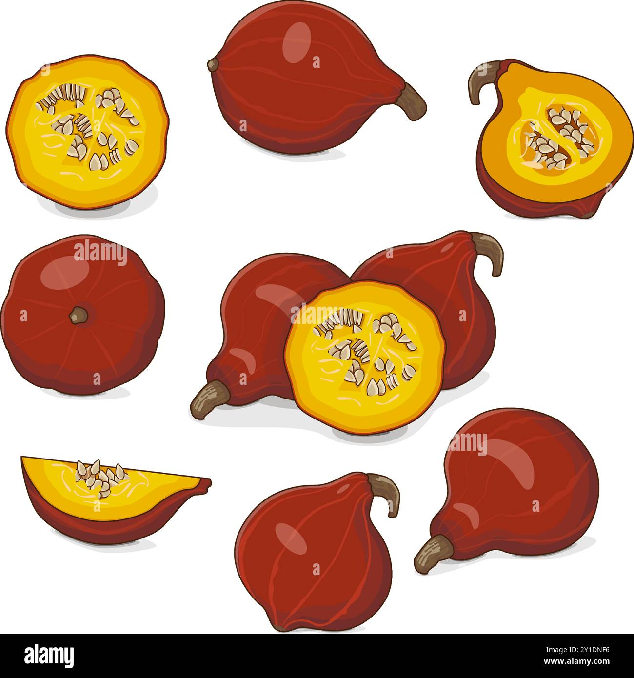 Set of Red Kuri squash. Climbing Onion squash, Potimarron squash ...