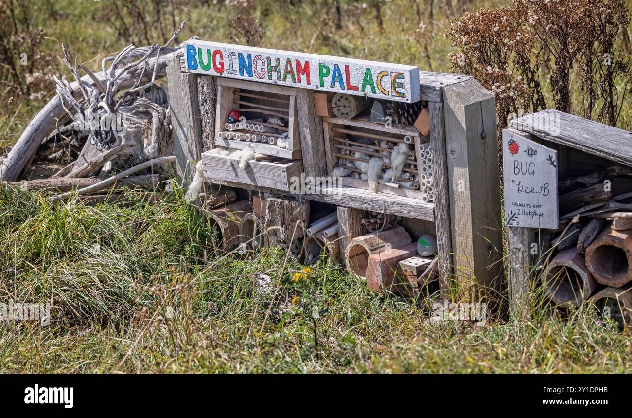 Miniature Bugingham Palace house made of wood in field at Northam ...
