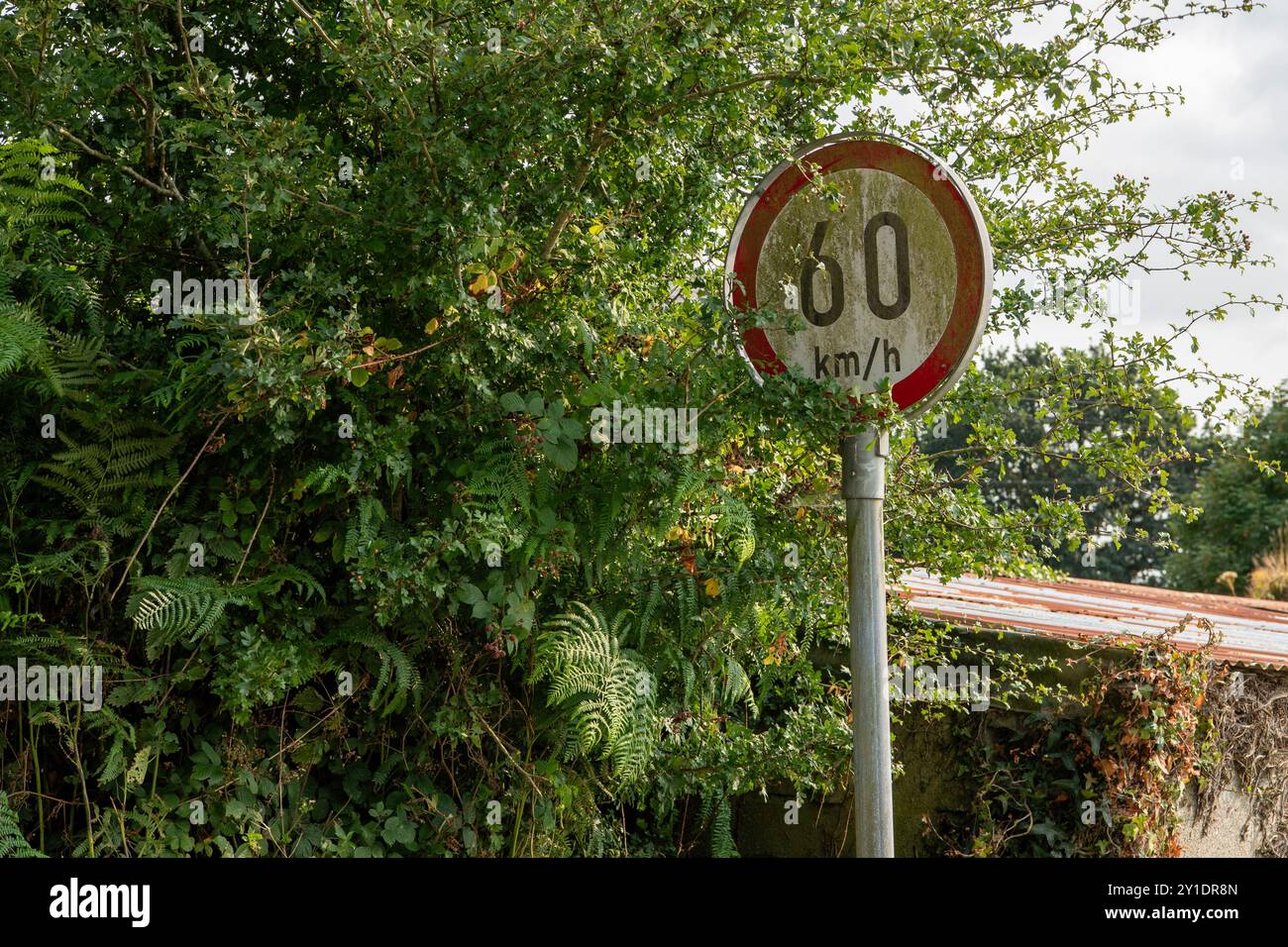 60km h sign hi-res stock photography and images - Alamy