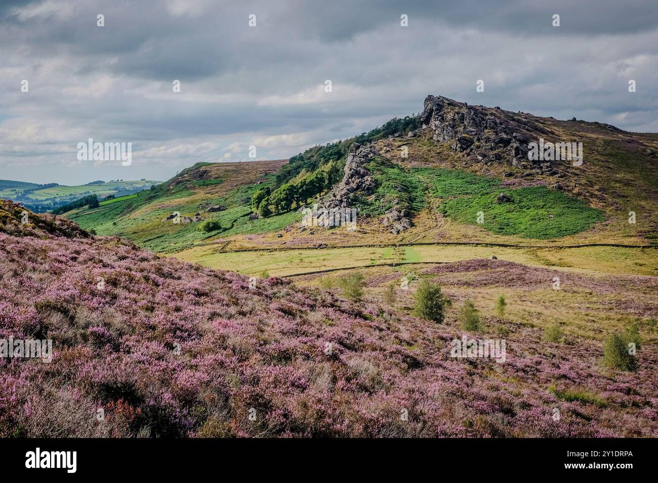 The Roaches, Staffordshire, Peak District England, UK Stock Photo - Alamy