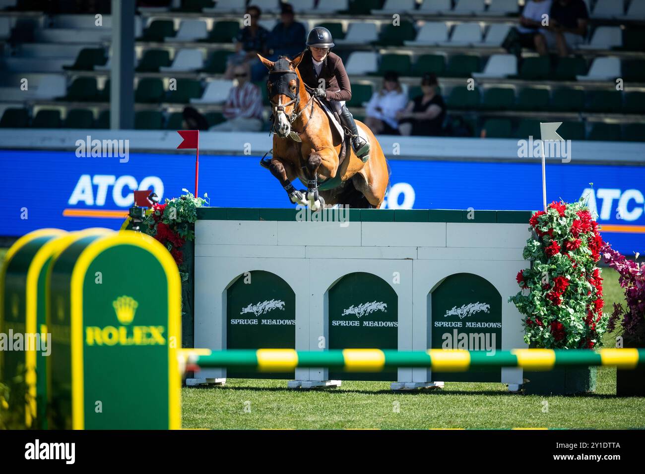 Calgary, Canada - Sept., 5, 2024. Samantha Buirs of Canada riding Chic ...