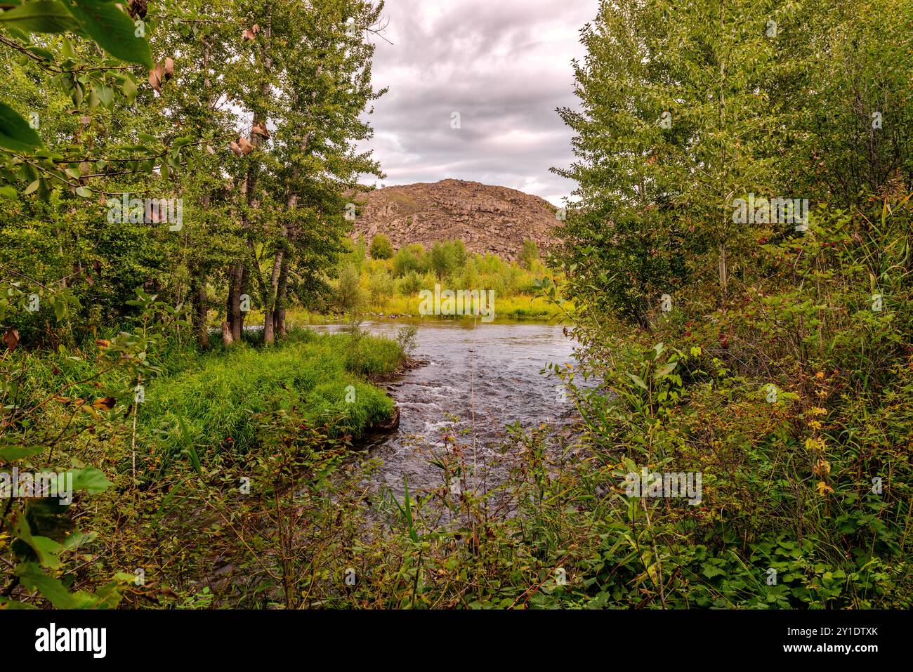 Wildlife landscape with a stream flowing into a river Stock Photo - Alamy