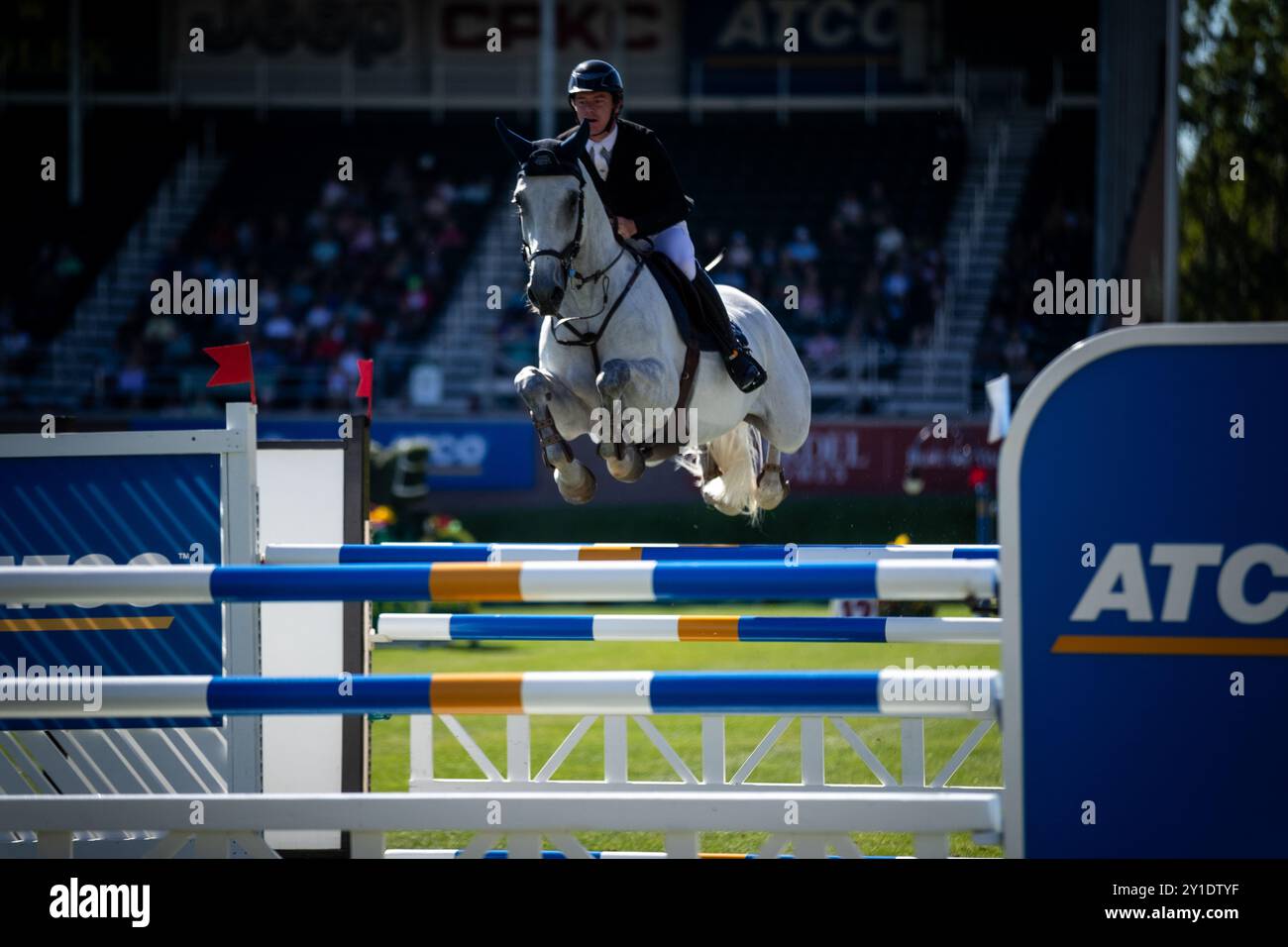 Calgary, Canada - Sept., 5, 2024. Michael Pender of Ireland riding HHS ...