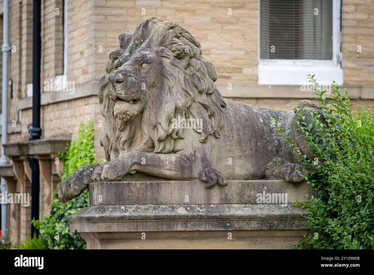 Stone carving of a Lion outside Victoria Hall, Saltaire model village ...