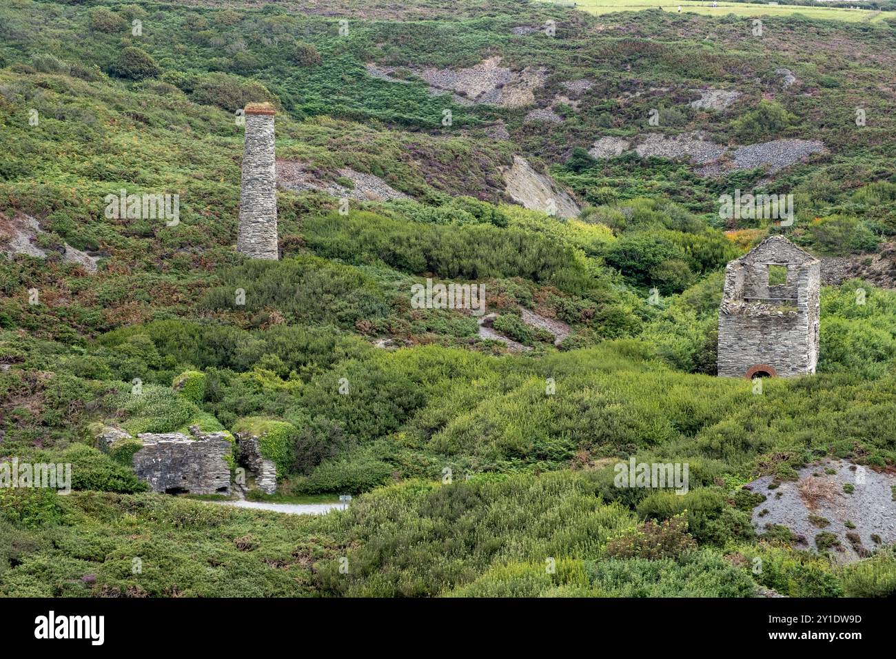 The National Trust, Trevallas Coombe, Cornwall, England, UK Stock Photo ...
