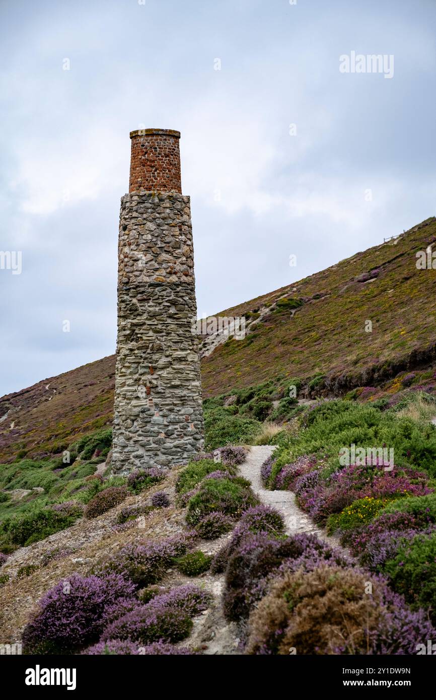 The National Trust, Trevallas Coombe, Cornwall, England, UK Stock Photo ...