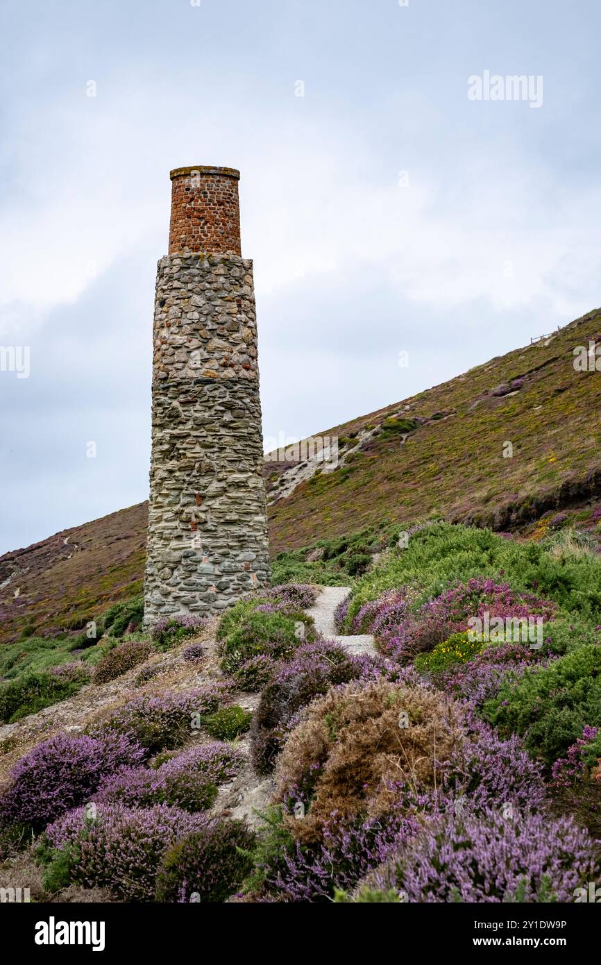 The National Trust, Trevallas Coombe, Cornwall, England, UK Stock Photo ...
