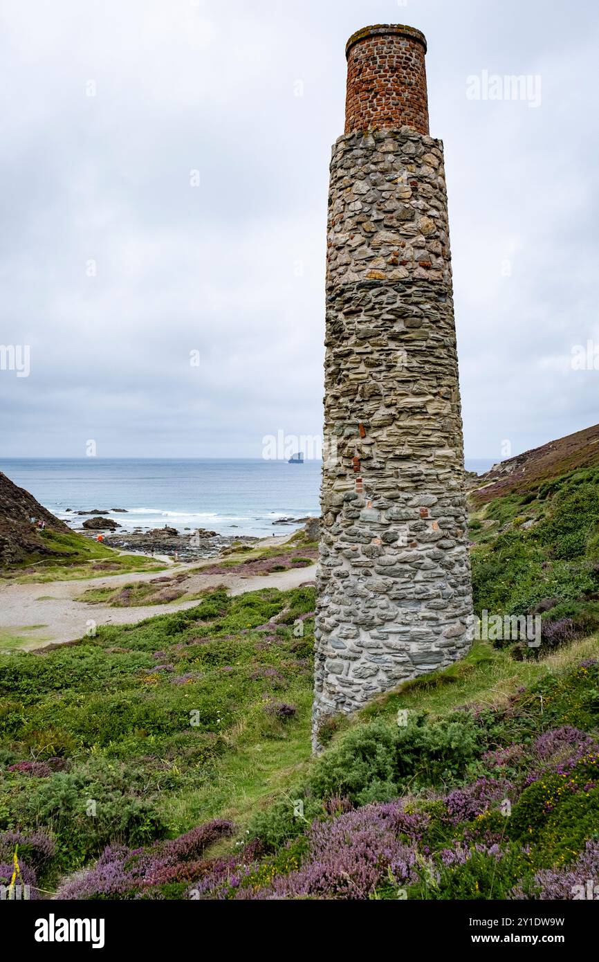 The National Trust, Trevallas Coombe, Cornwall, England, UK Stock Photo ...