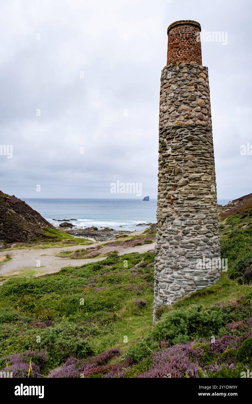 The National Trust, Trevallas Coombe, Cornwall, England, UK Stock Photo ...