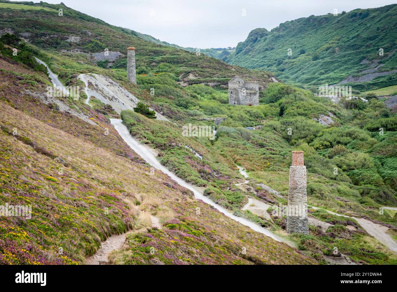 The National Trust, Trevallas Coombe, Cornwall, England, UK Stock Photo ...