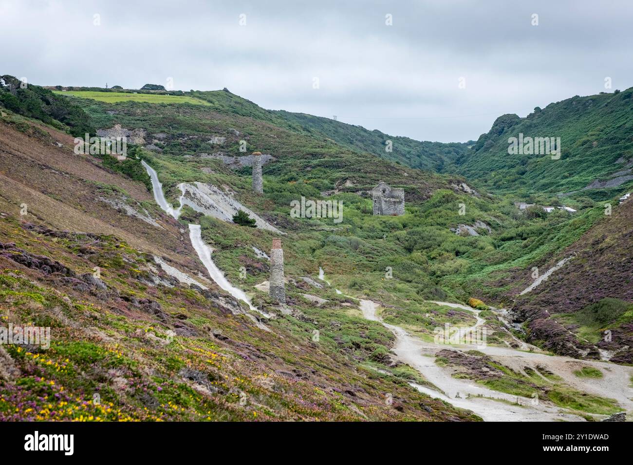 The National Trust, Trevallas Coombe, Cornwall, England, UK Stock Photo ...