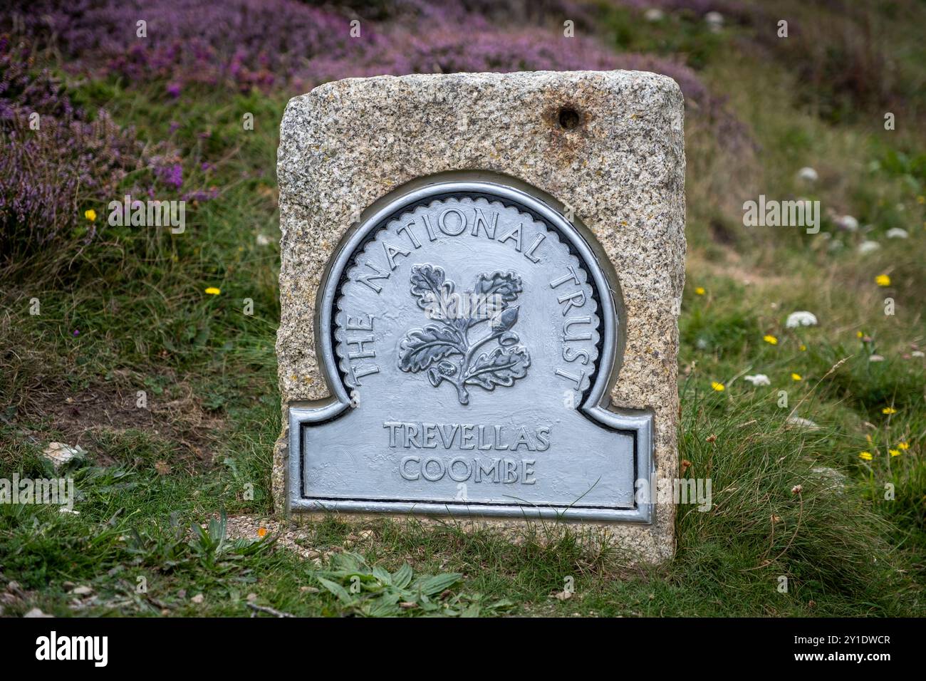 The National Trust, Trevallas Coombe, Cornwall, England, UK Stock Photo ...