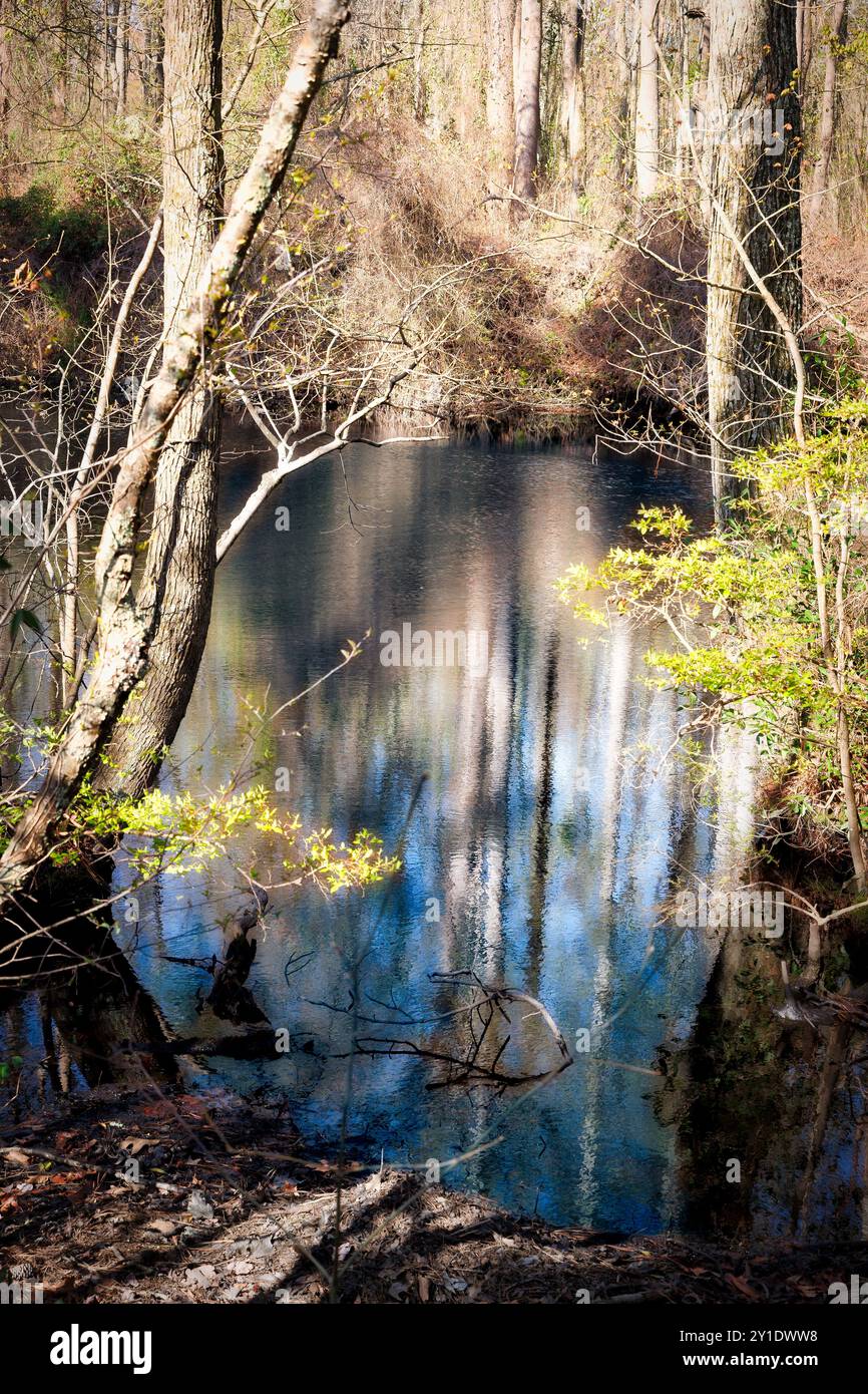 Built by 12 years of slave labor and opening 1805, the Dismal Swamp ...