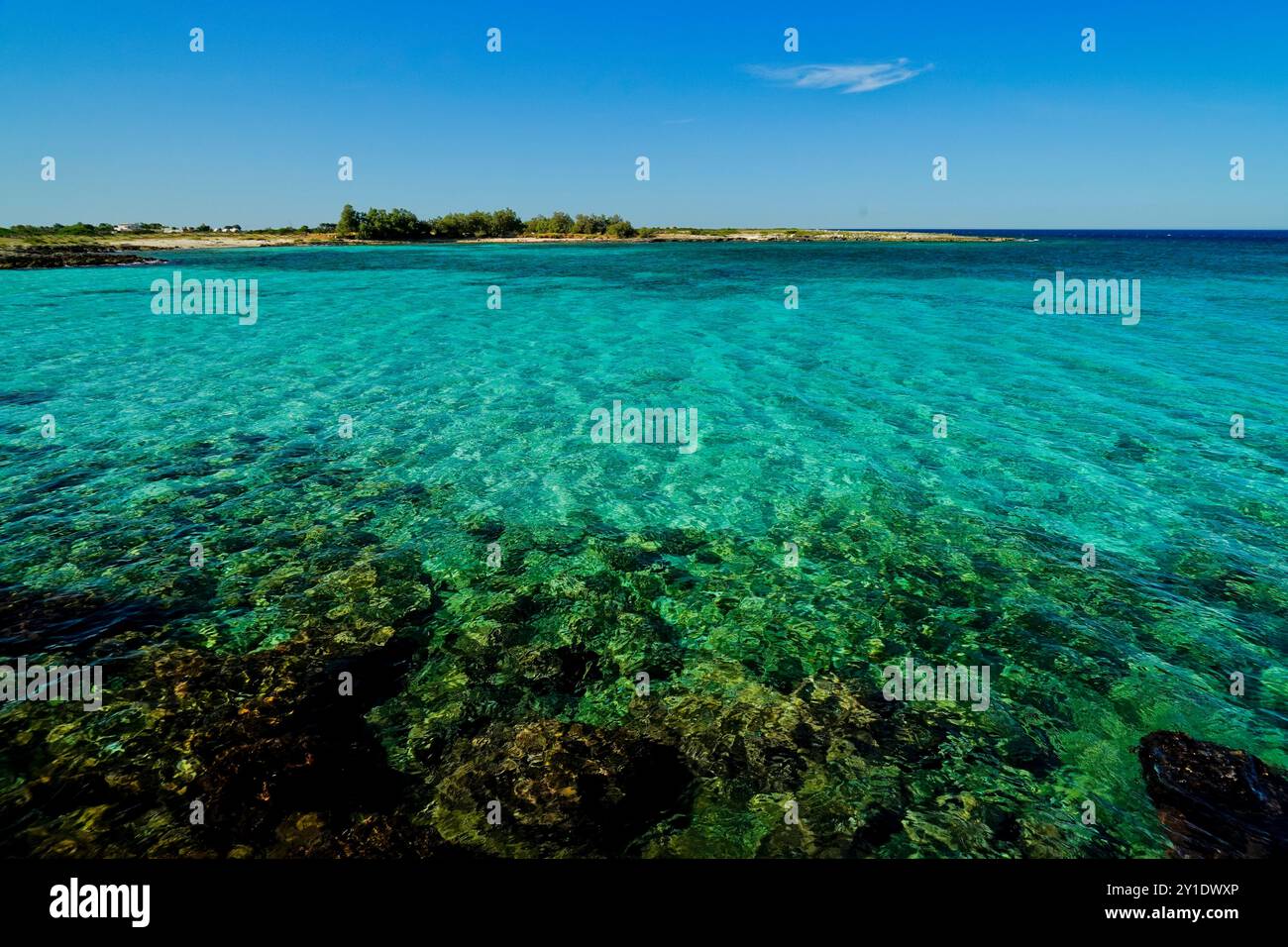 Frascone beach and Sant'Isidoro watchtower,Nardò,Puglia,Italy Stock ...