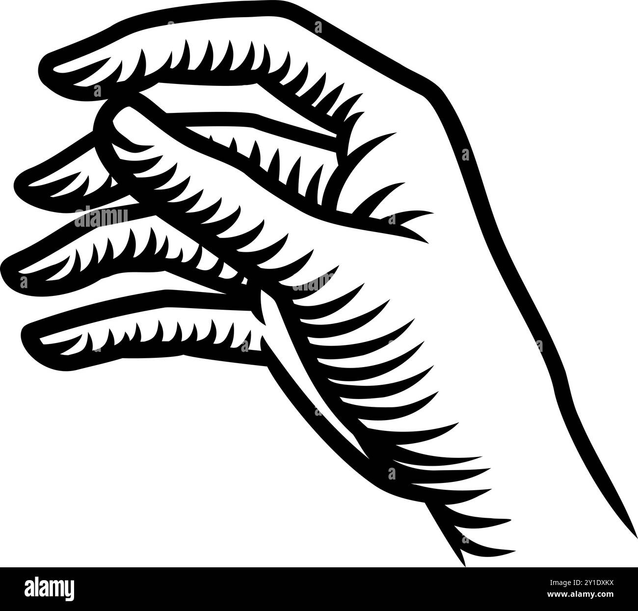 Hand female engraving Cut Out Stock Images & Pictures - Alamy