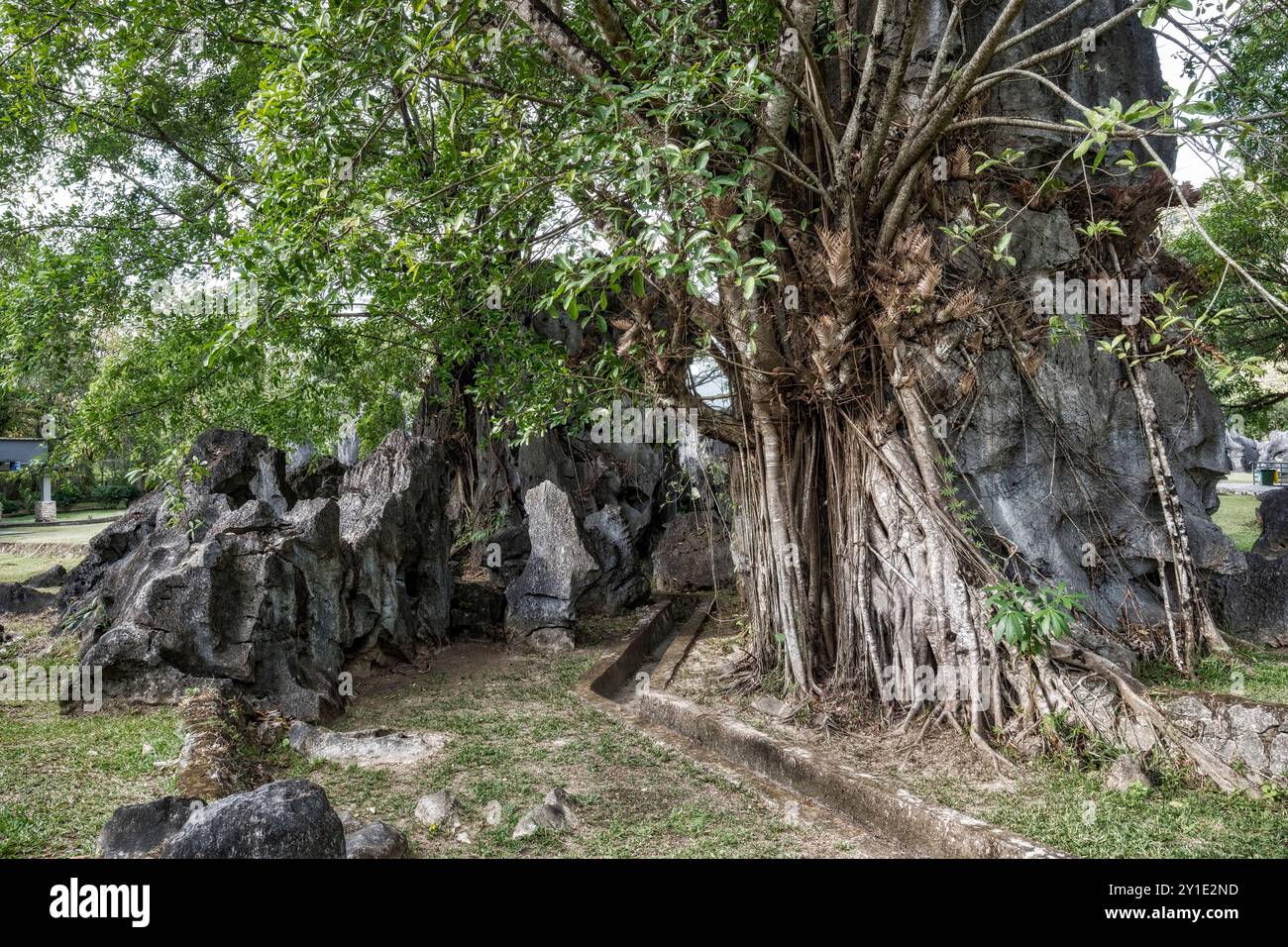 Leang Leang geopark in Maros, Sulawesi, Indonesia, Asia Stock Photo - Alamy