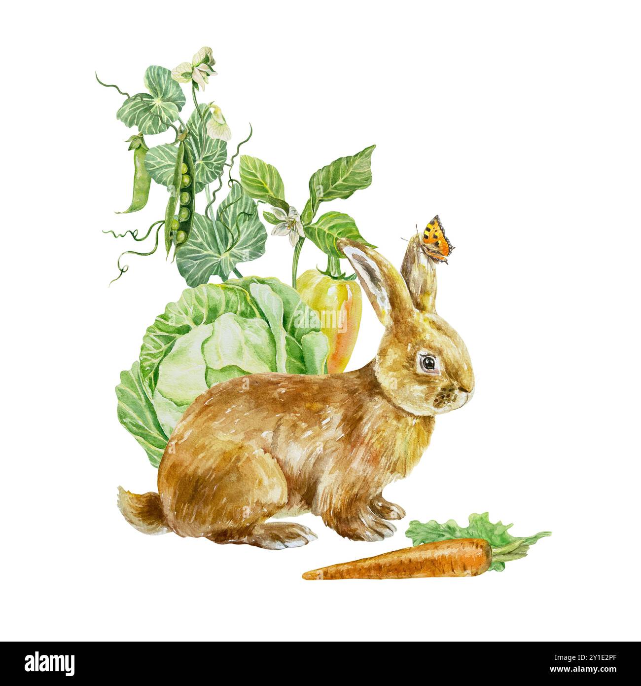 Brown rabbit sitting in vegetable garden watercolor isolated ...
