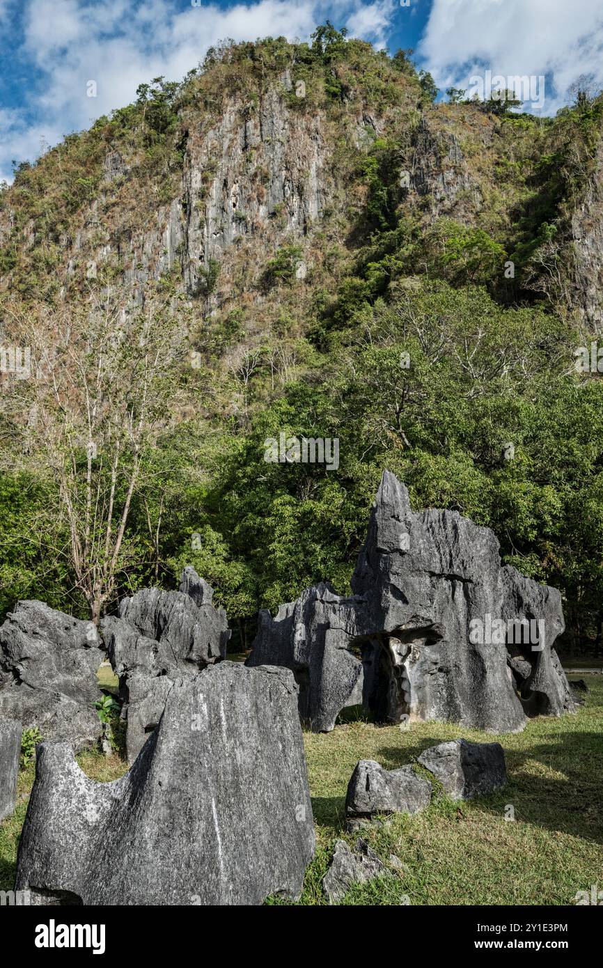 Leang Leang geopark in Maros, Sulawesi, Indonesia, Asia Stock Photo - Alamy