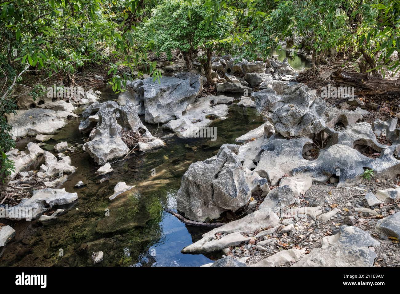Leang Leang geopark in Maros, Sulawesi, Indonesia, Asia Stock Photo - Alamy