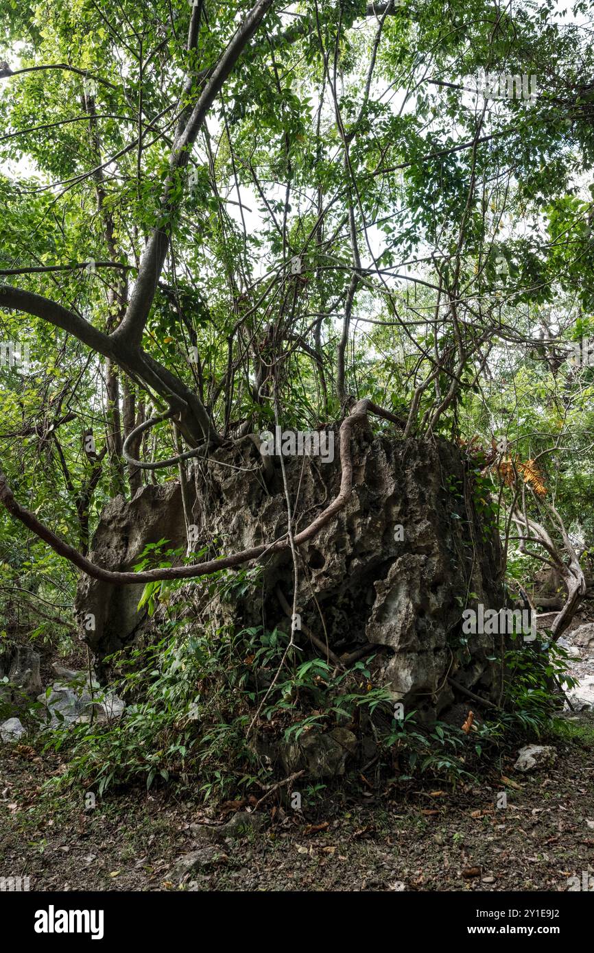 Leang Leang geopark in Maros, Sulawesi, Indonesia, Asia Stock Photo - Alamy