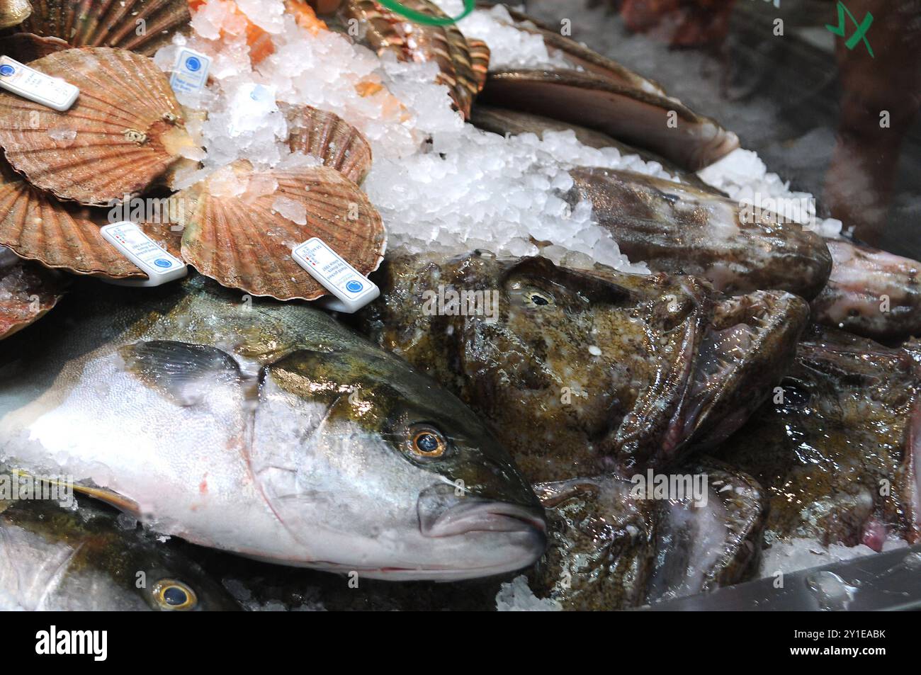 Copenhagen/ DenmarK/06 september 2024/ Shoppers at fish shop ...