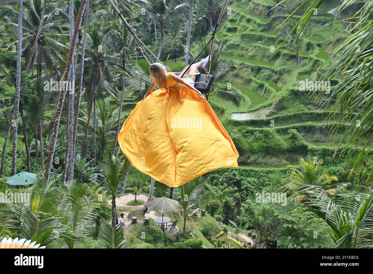 Beautiful girl with a orange dress on a swing in Tegalalang rice ...