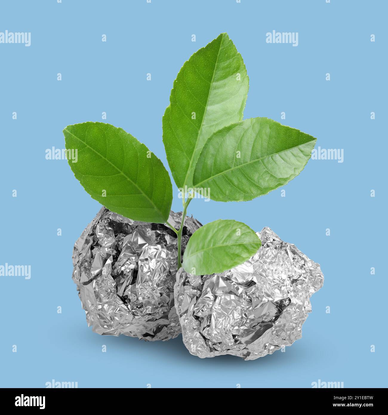 Seedling with green leaves growing from crumpled foil balls on light ...