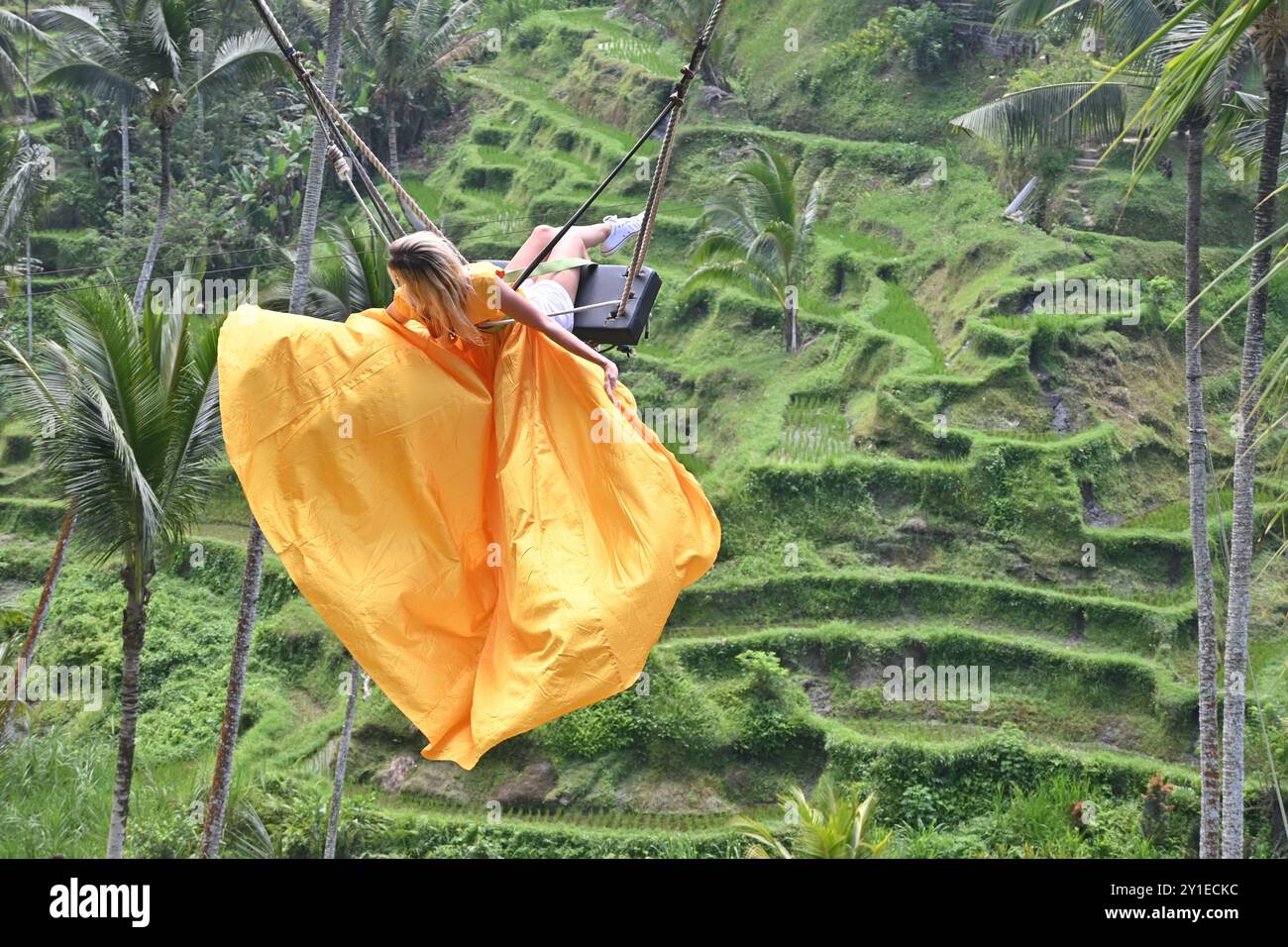 Beautiful girl with a orange dress on a swing in Tegalalang rice ...