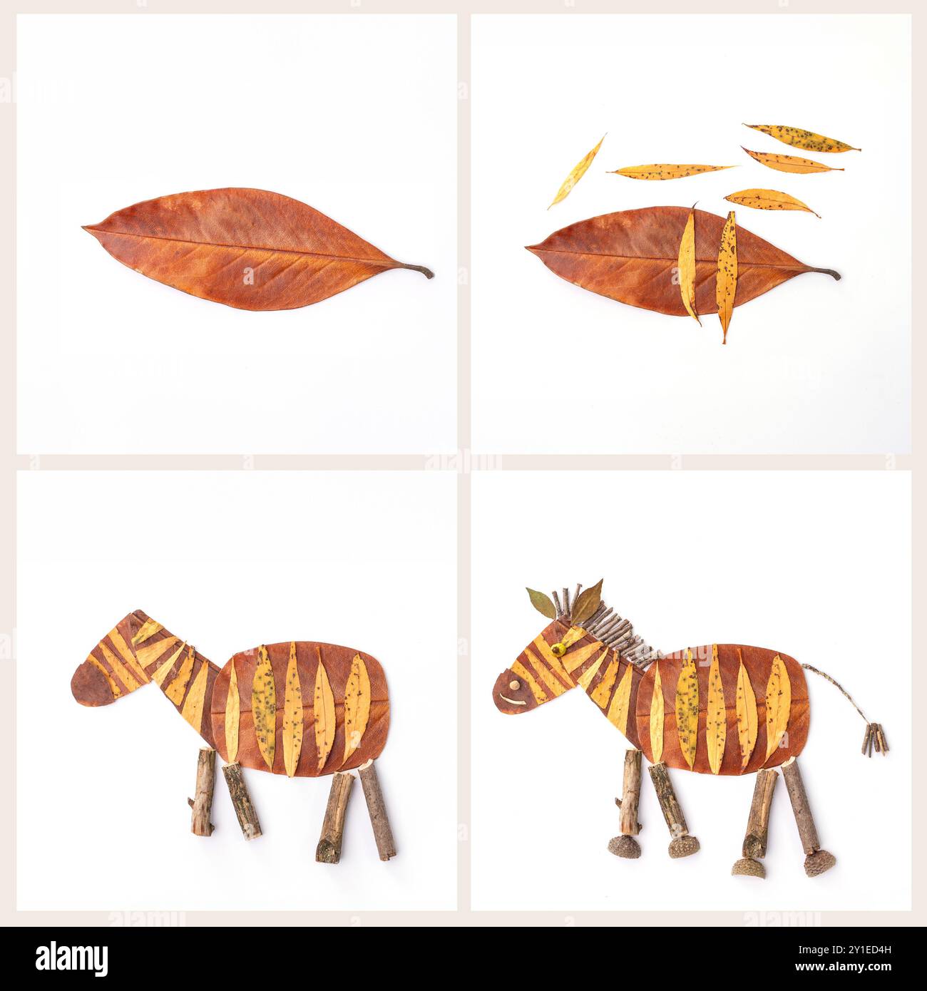 autumn nature craft for kids, zebra made of leaf, top view, activity ...
