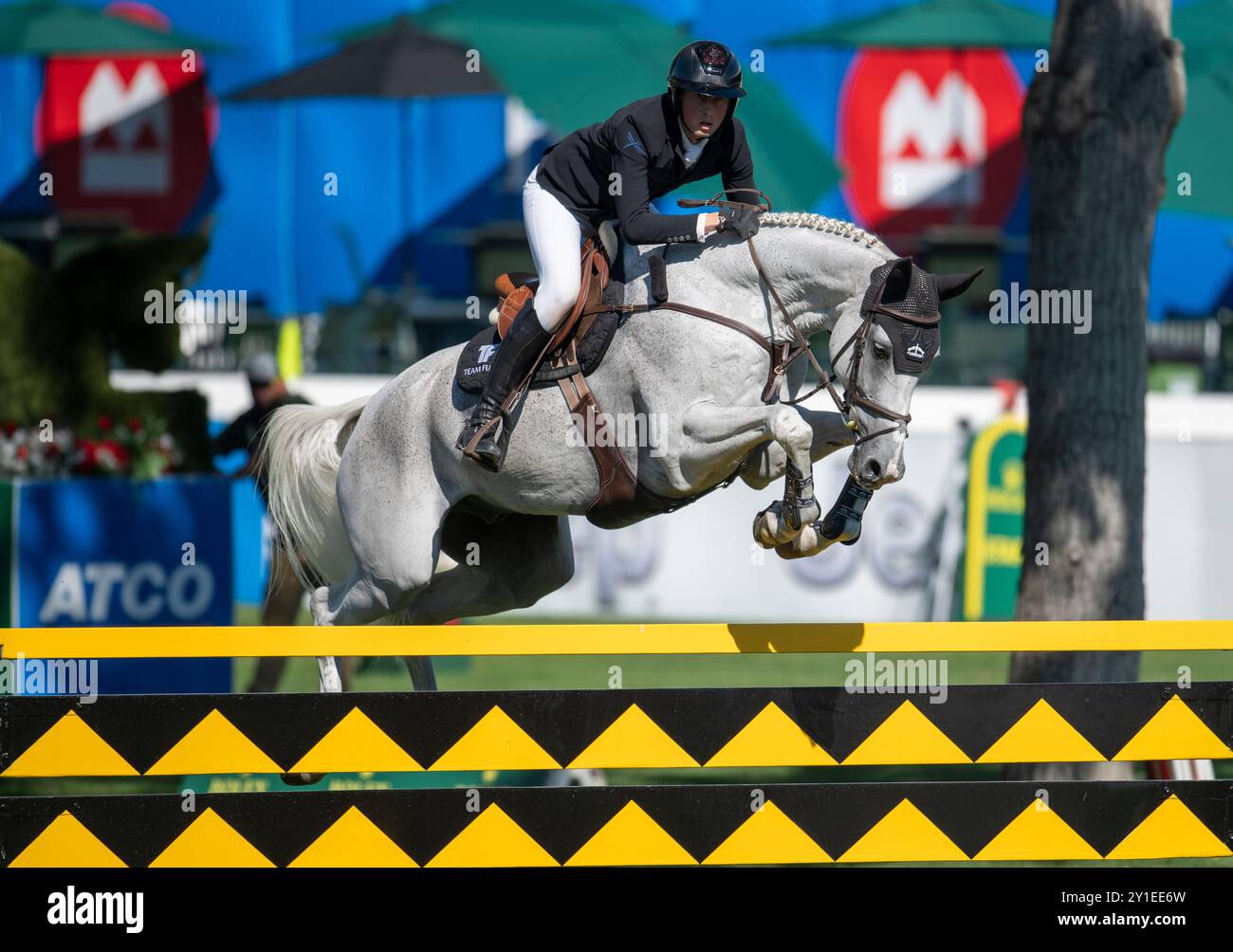 Calgary, Alberta, Canada, 5 September 2024. Martin Fuchs (SUI) riding ...