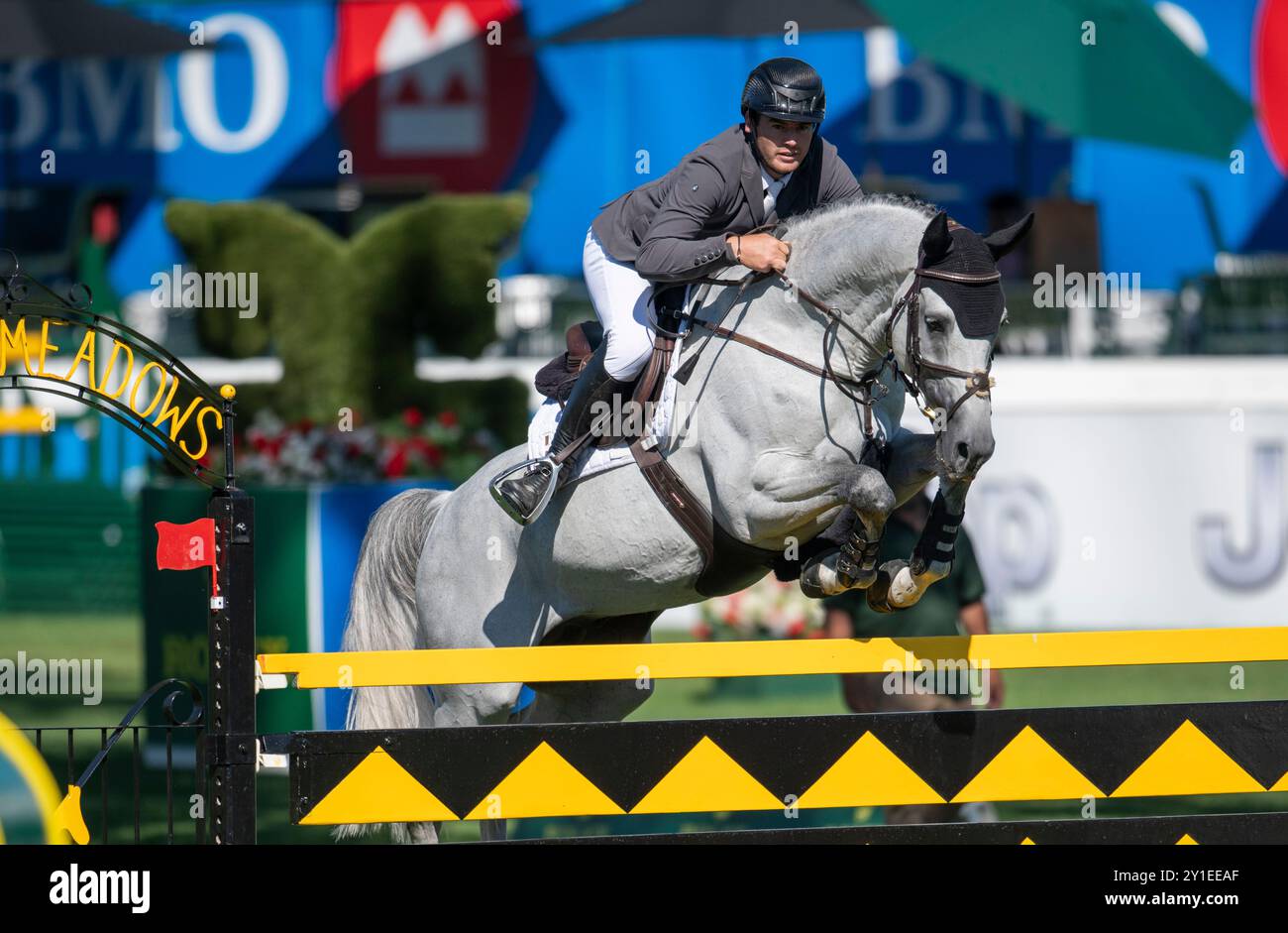 Picasso vd zwartbleshoeve hi-res stock photography and images - Alamy