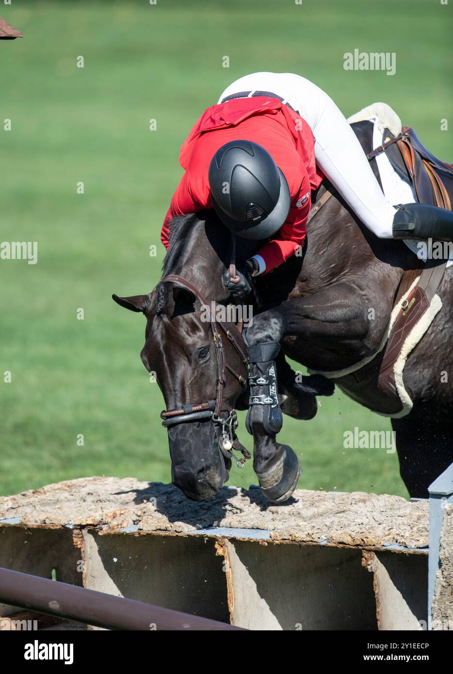 Calgary, Alberta, Canada, 5 September 2024. Tiffany Foster (CAN) riding ...