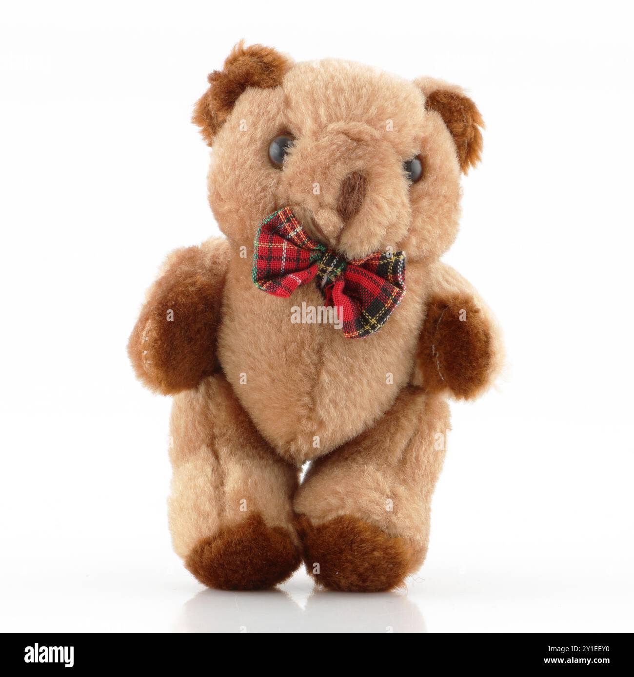 Small Teddy Bear with tartan bow Stock Photo - Alamy